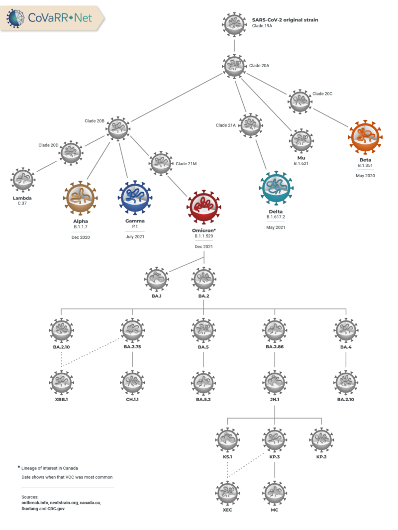 About Variants – CoVaRR-Net